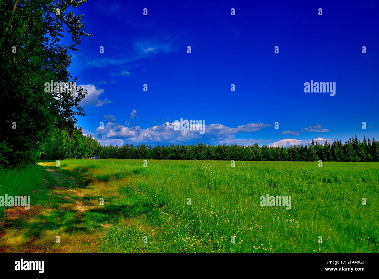 Runway landscape hi-res stock photography and images - Alamy