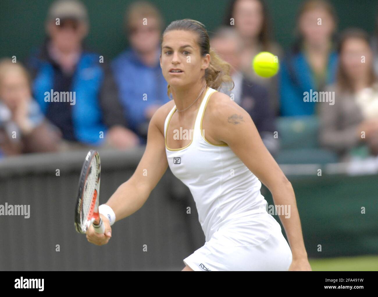 M santangelo hi-res stock photography and images - Alamy