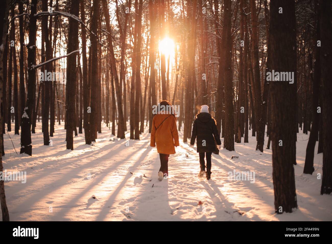 Female friends walking back view hi-res stock photography and images ...