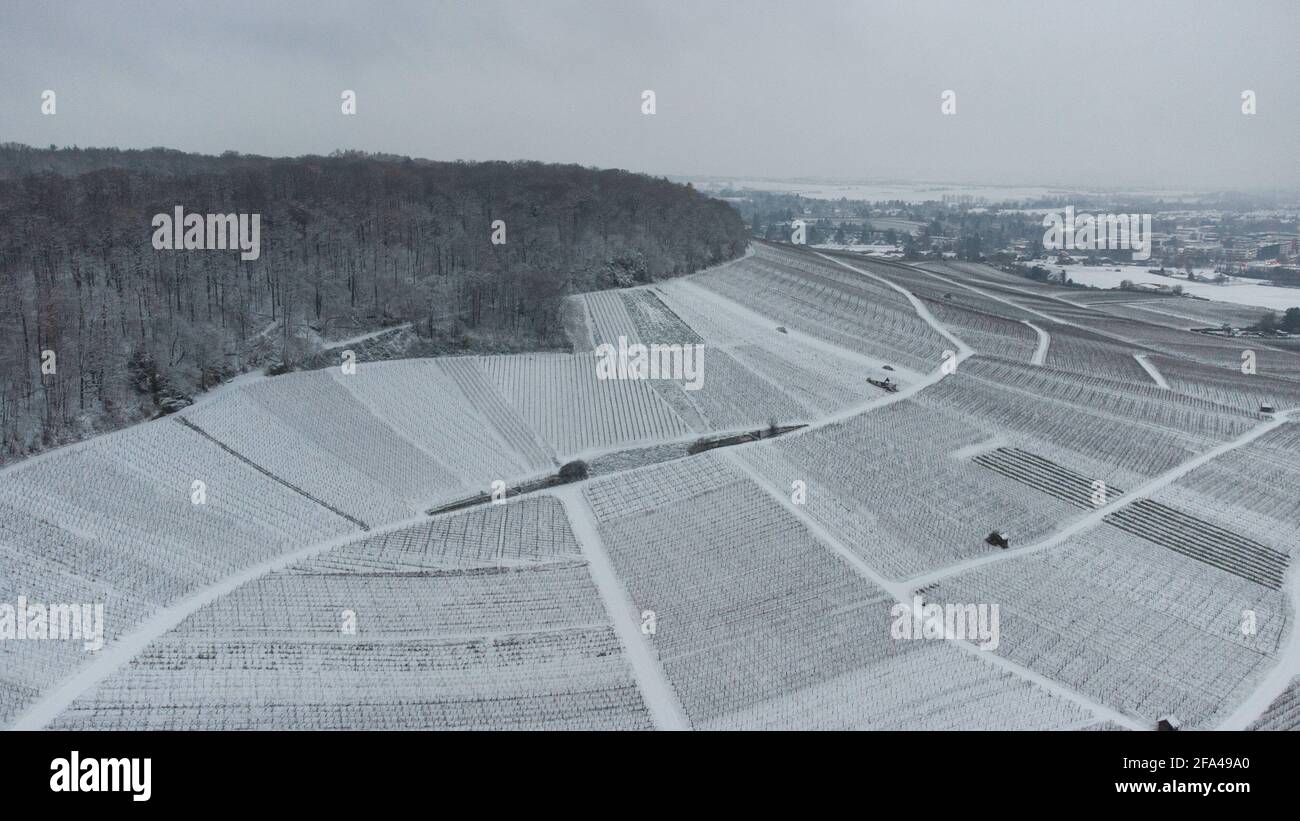 Aerial view of agricultural fields in black and white Stock Photo - Alamy