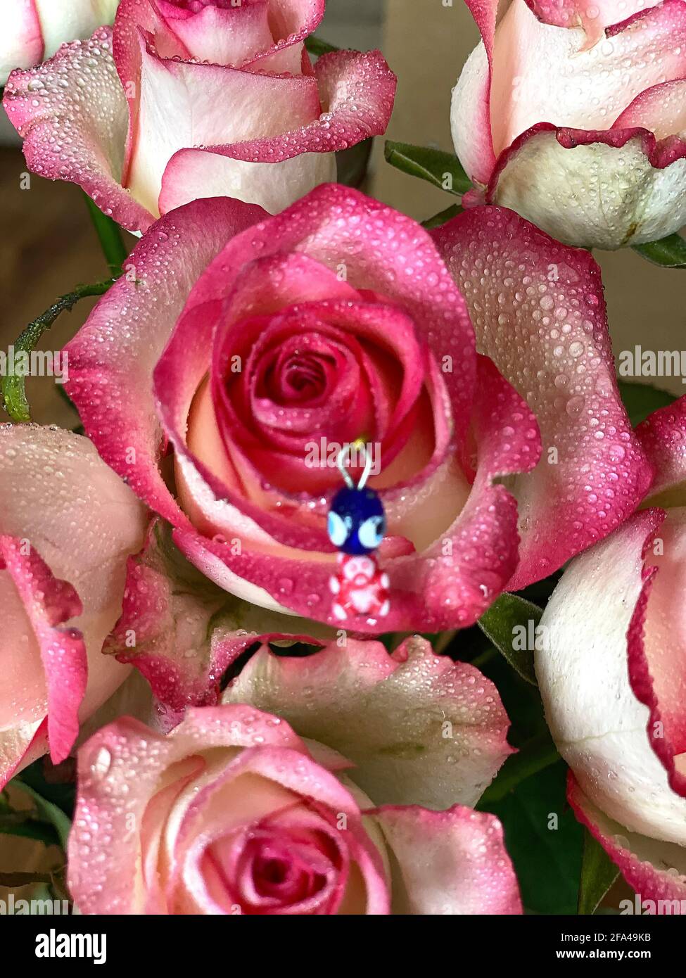 Surprise in roses. Talisman in a bouquet of roses Stock Photo - Alamy
