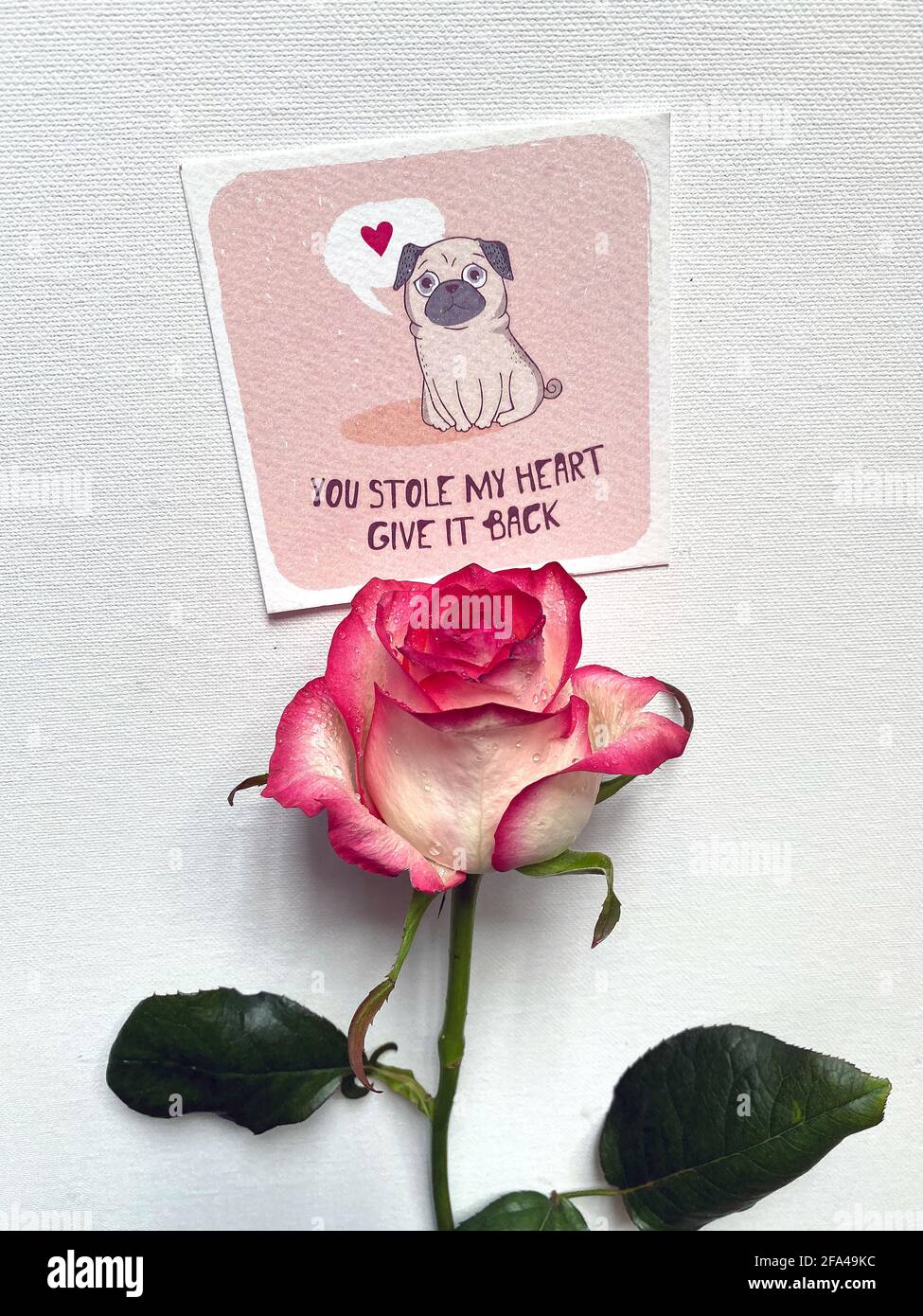 Rose and declaration of love Stock Photo - Alamy