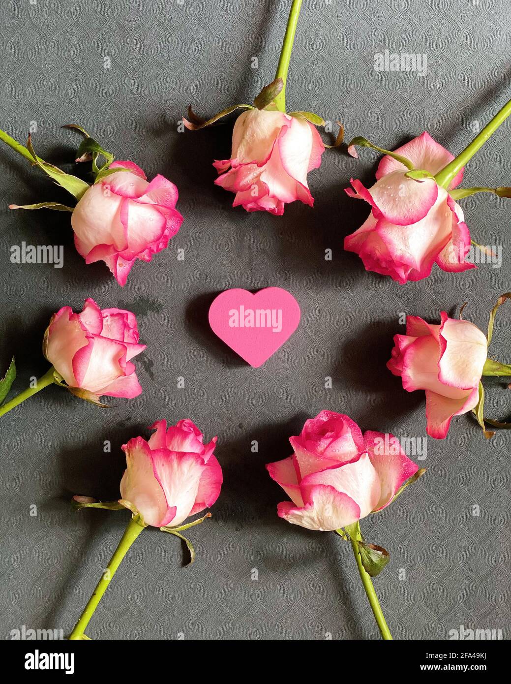 Heart in roses. Roses in a circle. Roses around the heart Stock Photo ...