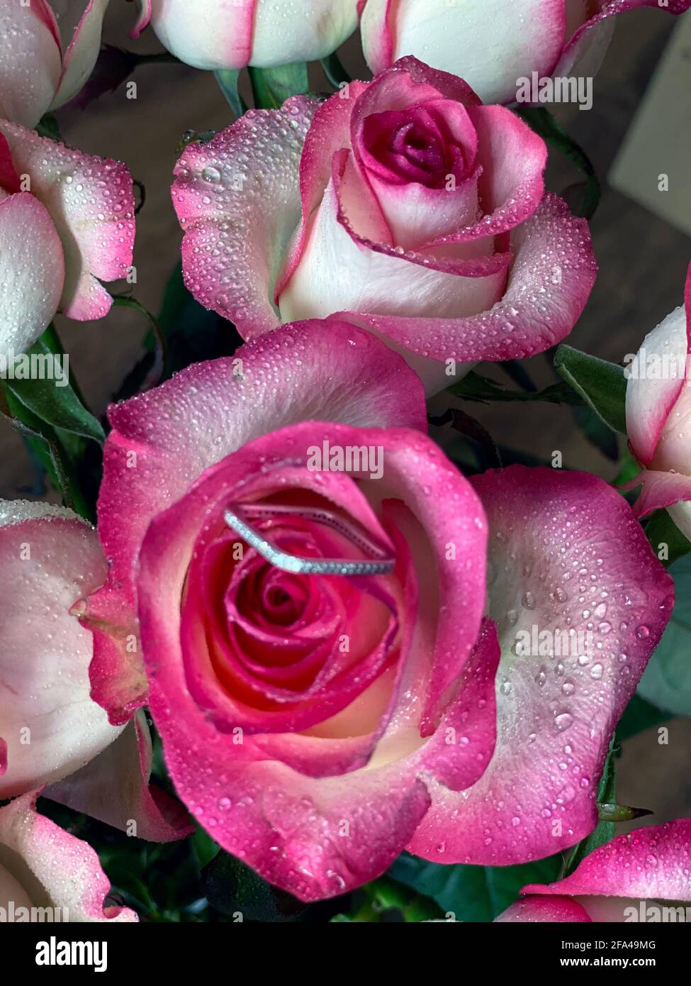 Wedding ring photograph hi-res stock photography and images - Alamy