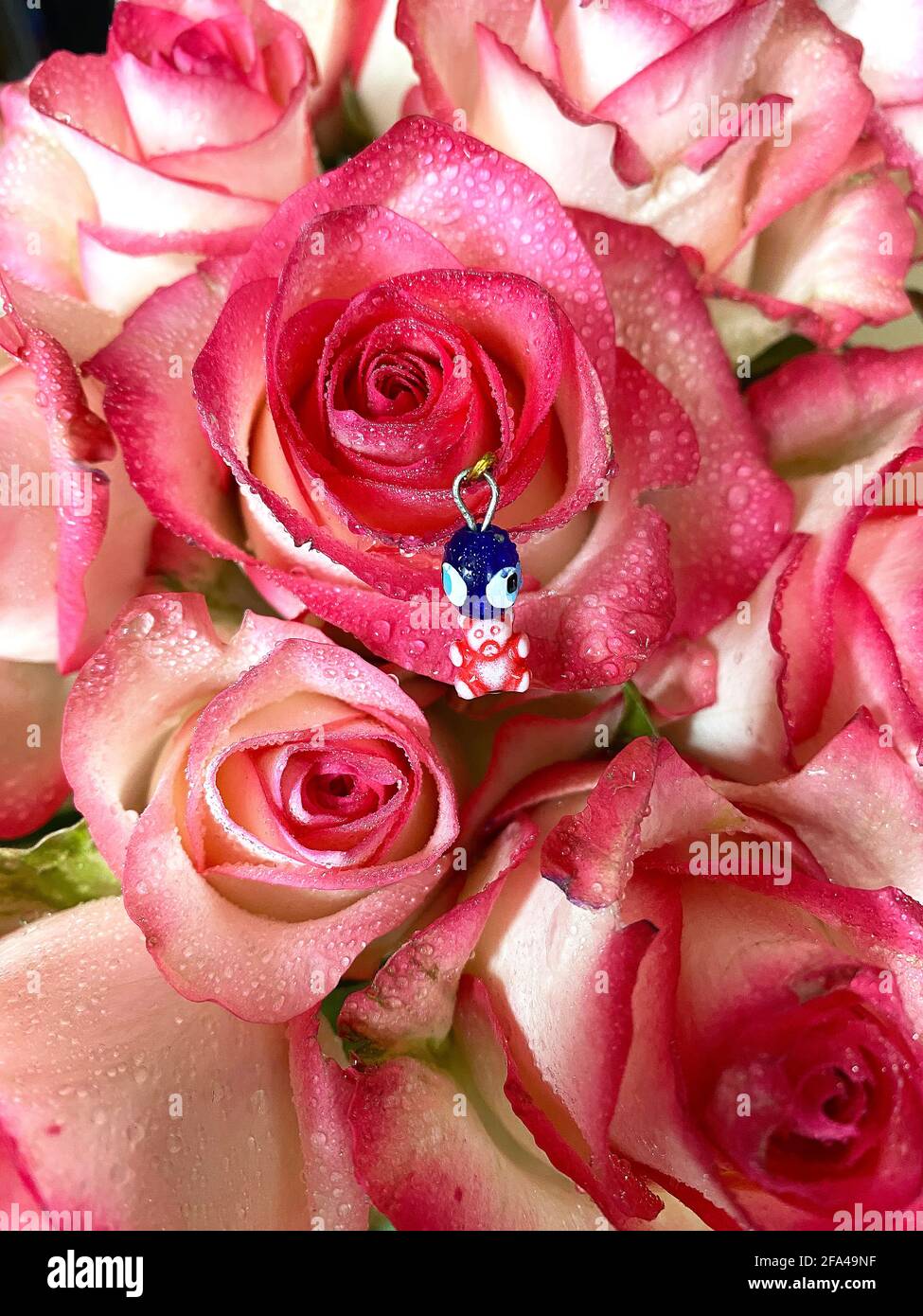 Talisman hidden in morning roses Stock Photo - Alamy