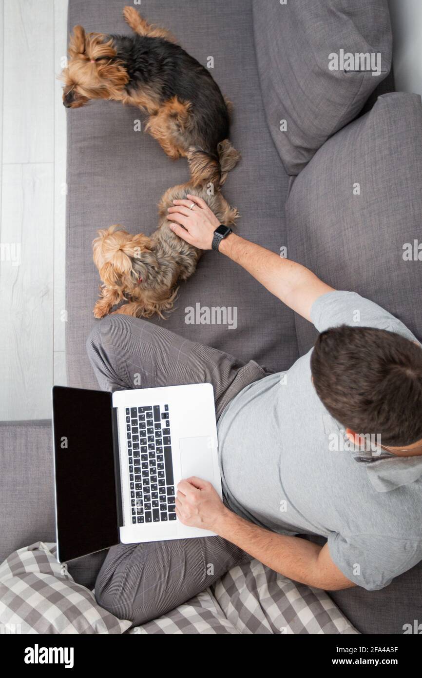People and animals with computer hi-res stock photography and images ...