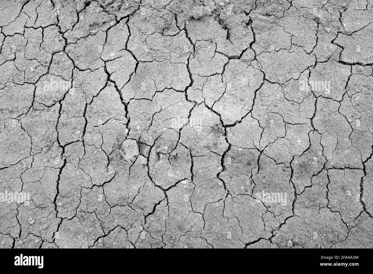 dry sand ground in summertime Stock Photo - Alamy