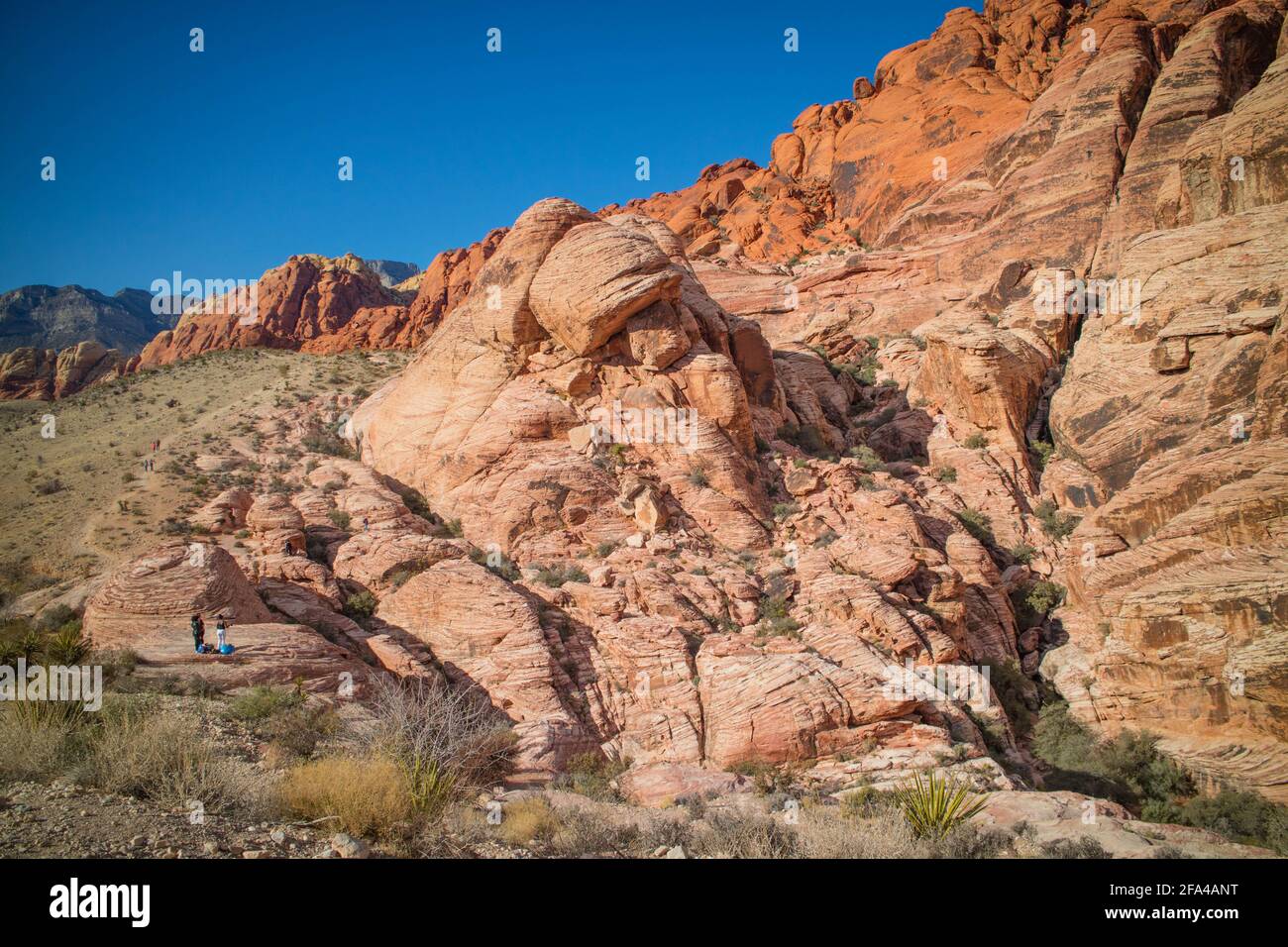 Calico Red Rocks in Red Rock Canyon National Conservation Area, Nevada ...