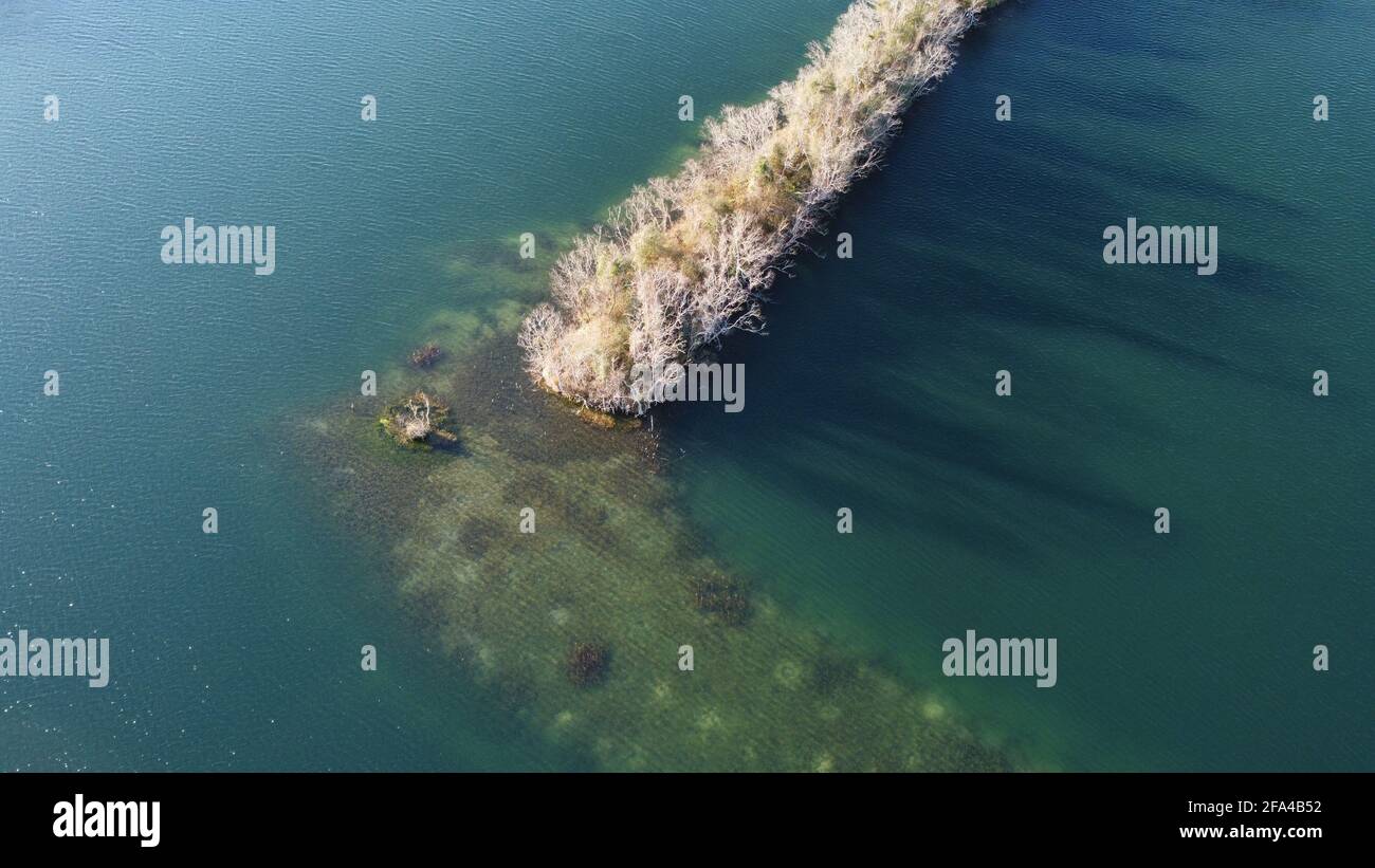 Coral white hi-res stock photography and images - Alamy
