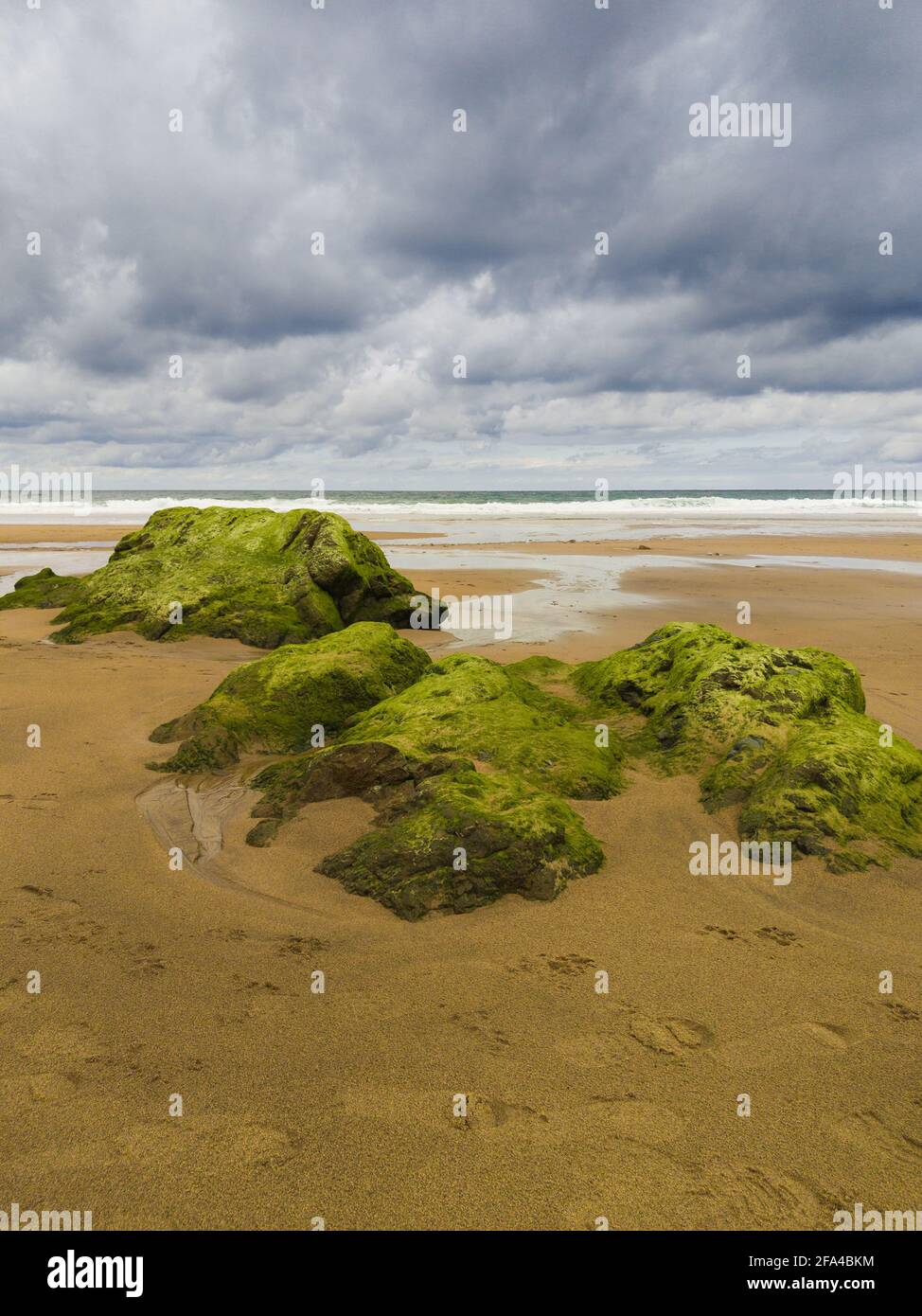 Moss-covered rocks and footprints on a sandy beach in cloudy weather ...