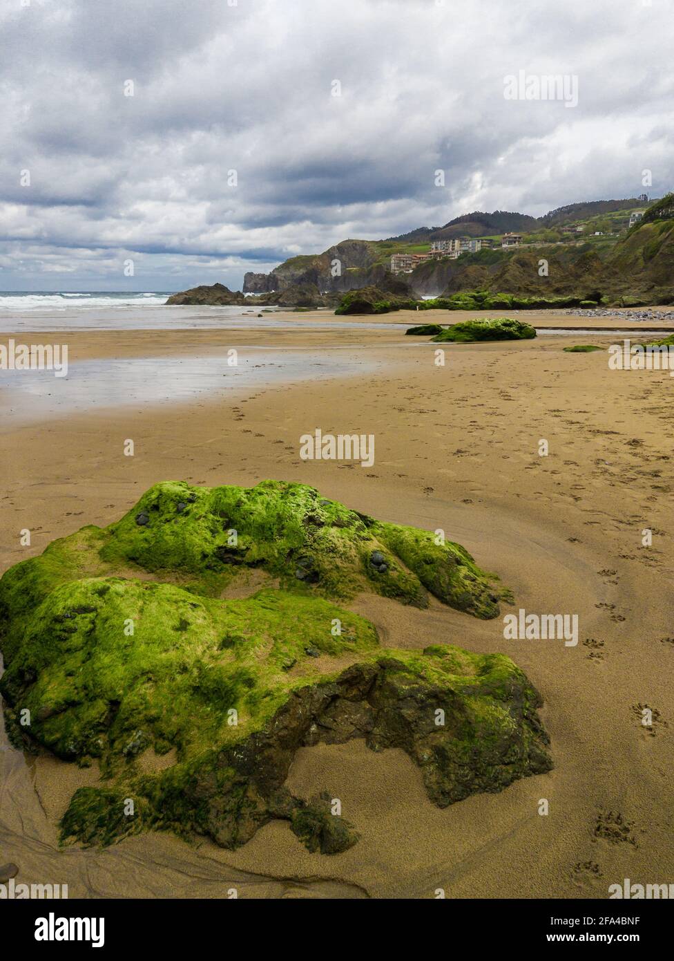 Moss-covered rocks on a sandy beach in cloudy weather Stock Photo - Alamy