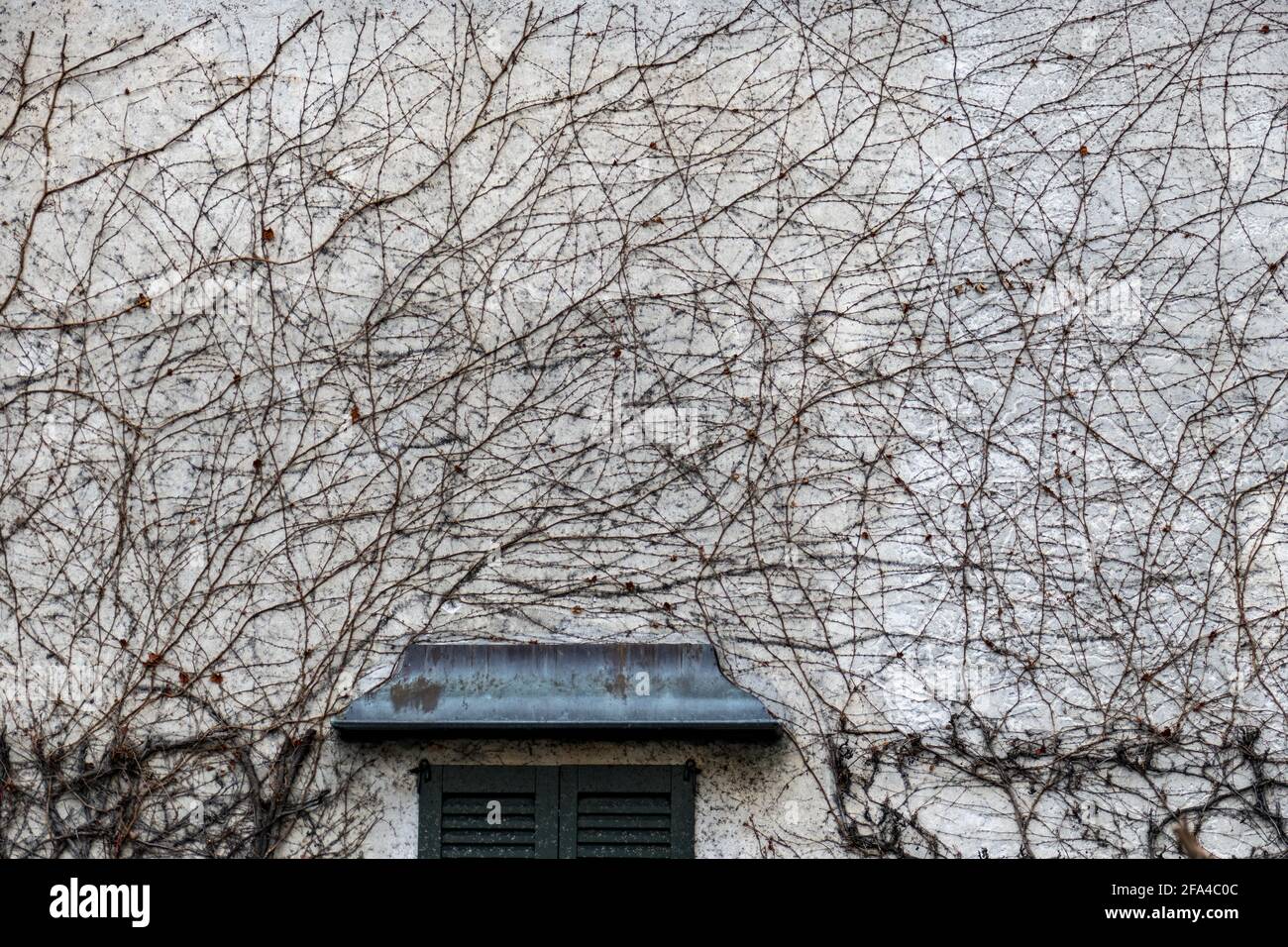 Beautiful shot of a fully overgrown facade of a building Stock Photo ...