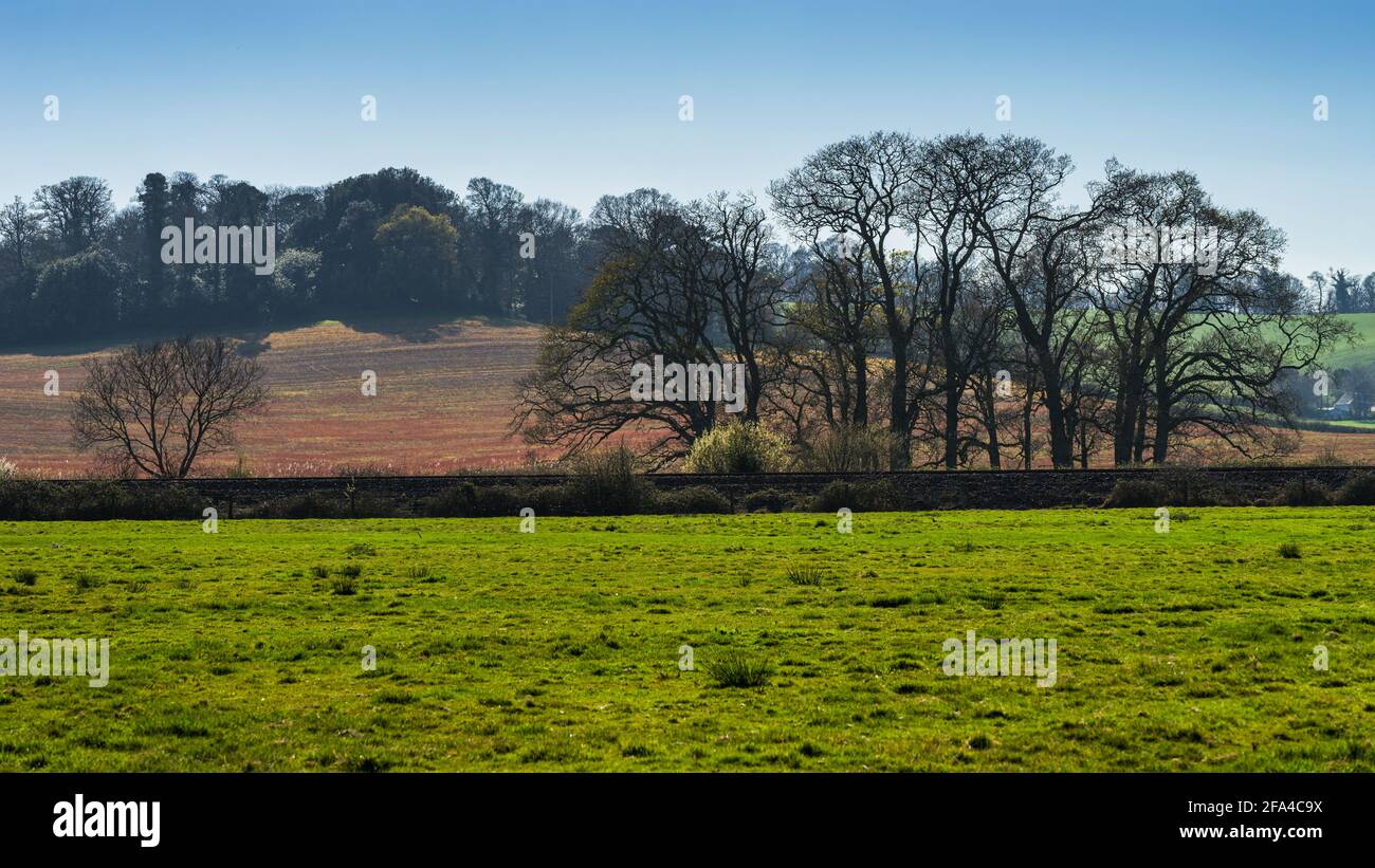 English meadows hi-res stock photography and images - Alamy