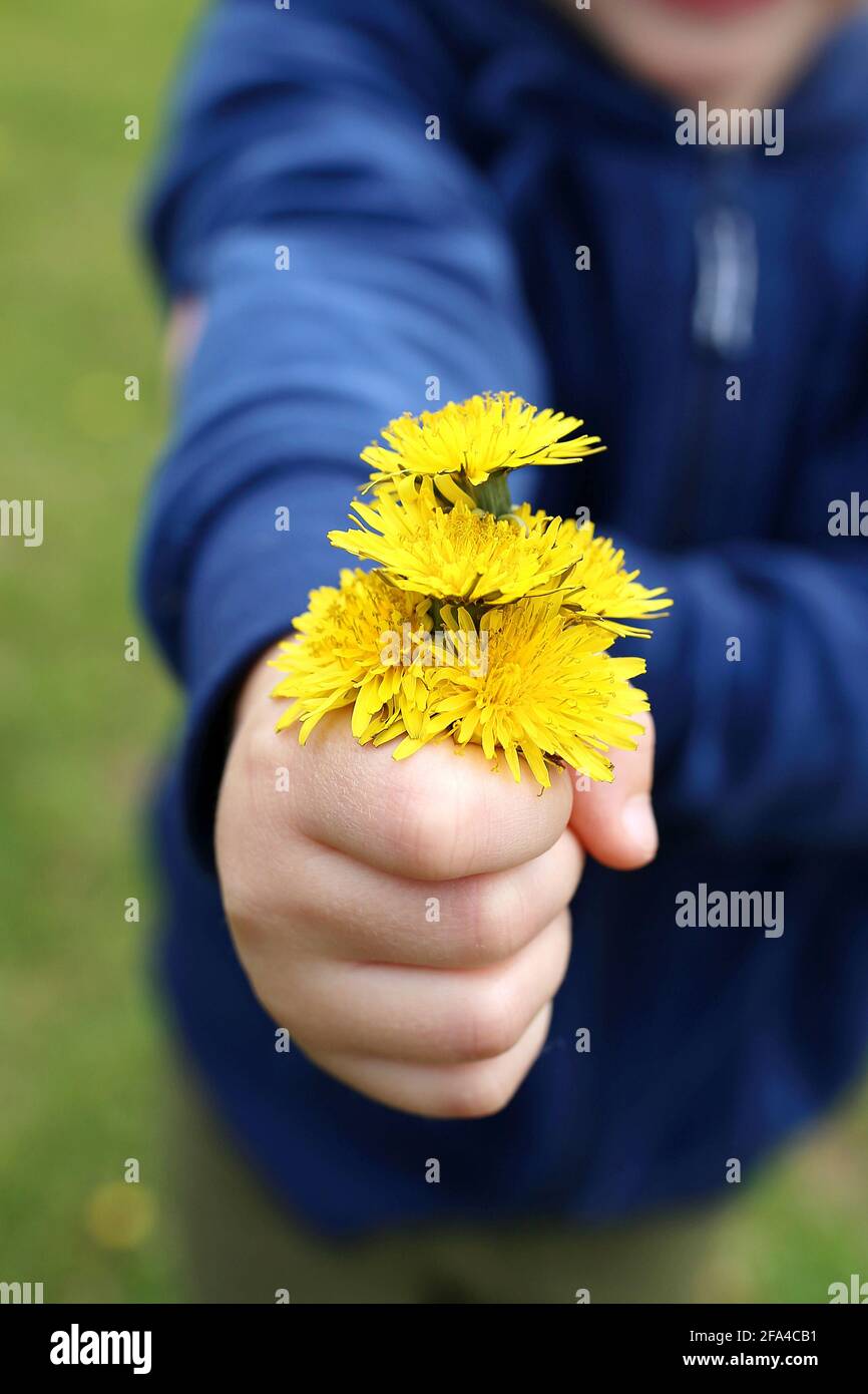 A sweet little girl child is handing her family member a bouquet of ...