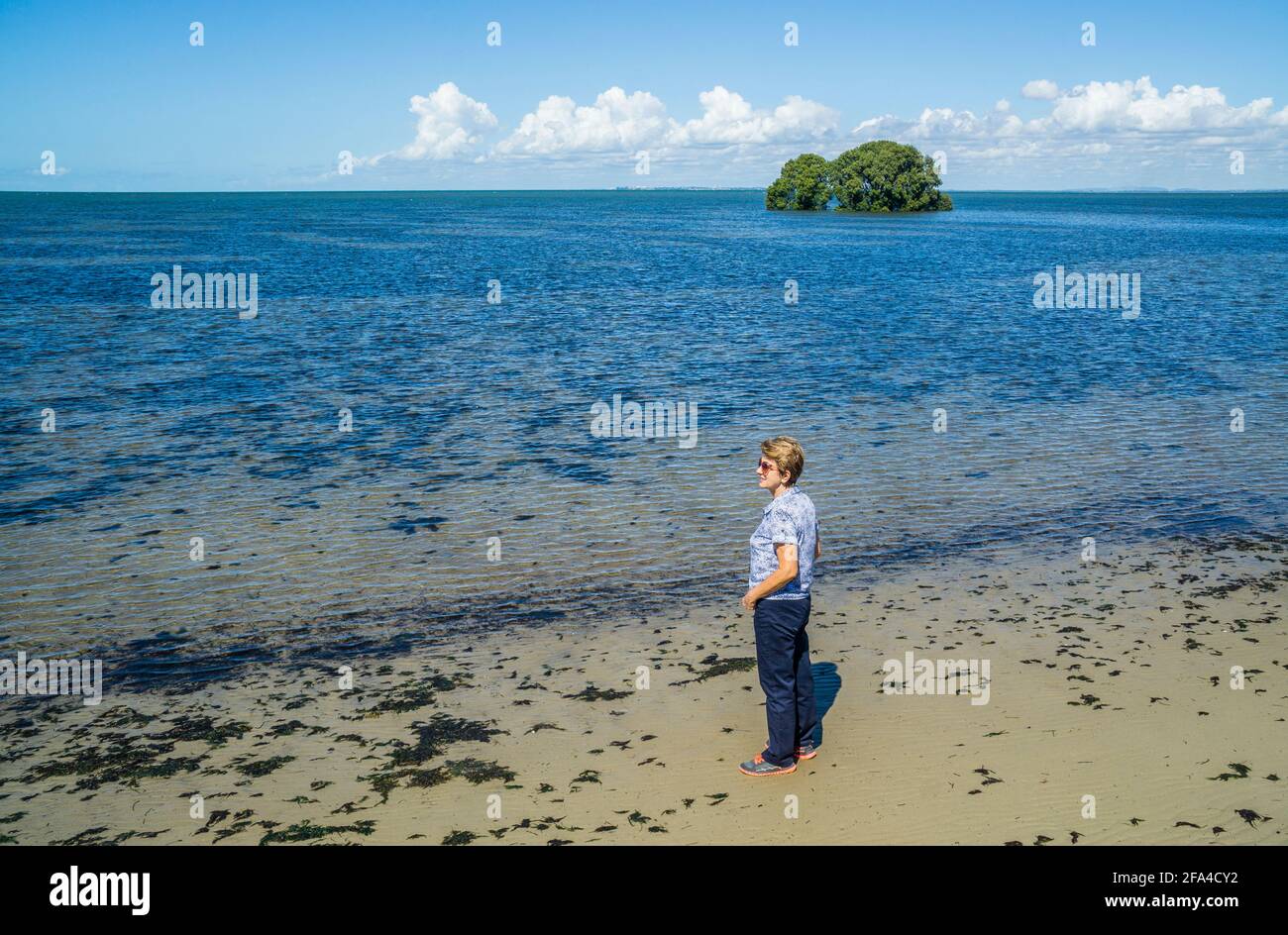 intertidal mudflats forshore of Moreton Bay at Godwin Beach, Moreton ...