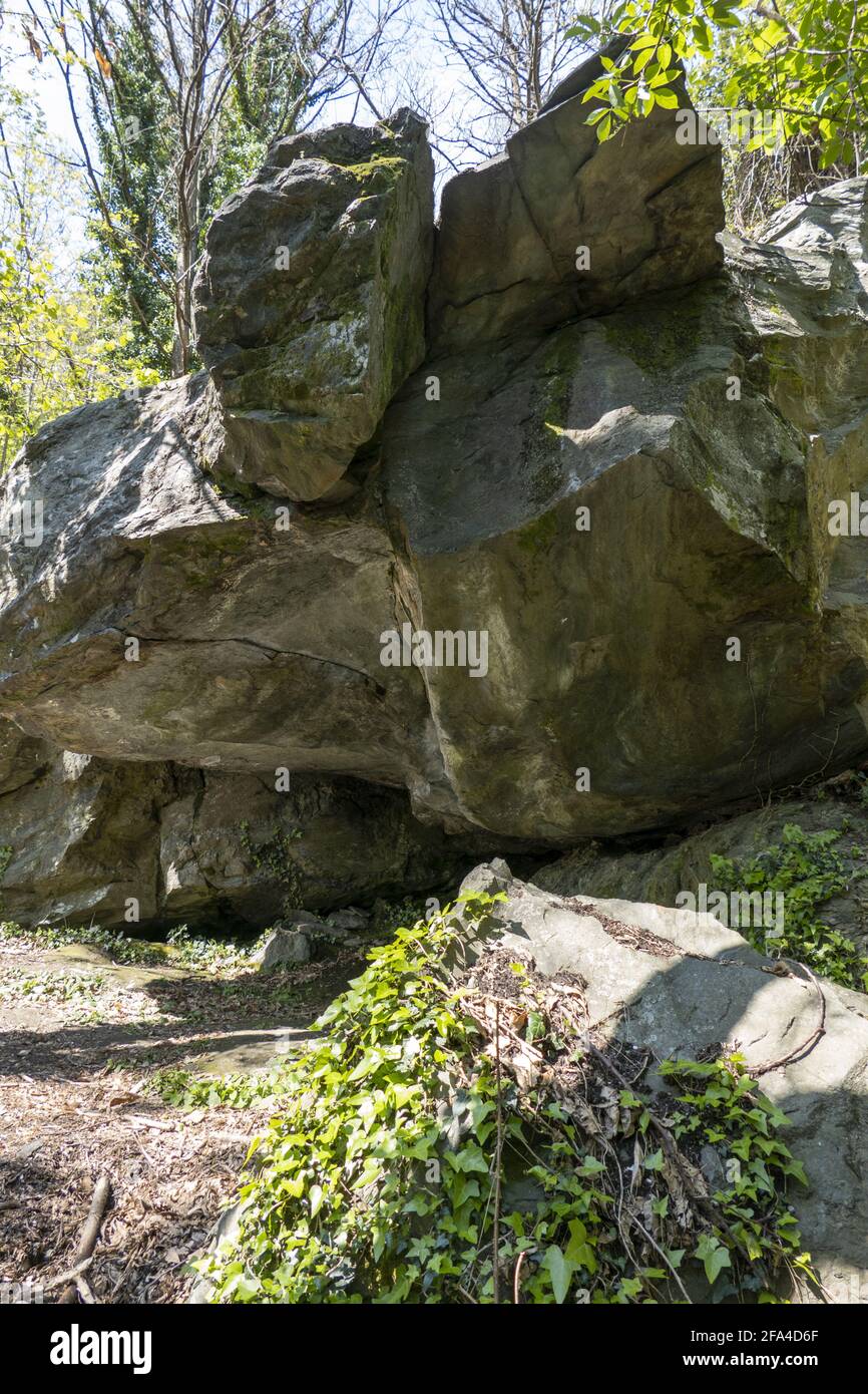 Vertical shot of large moss-covered sharp rocks in a forest with bushes ...