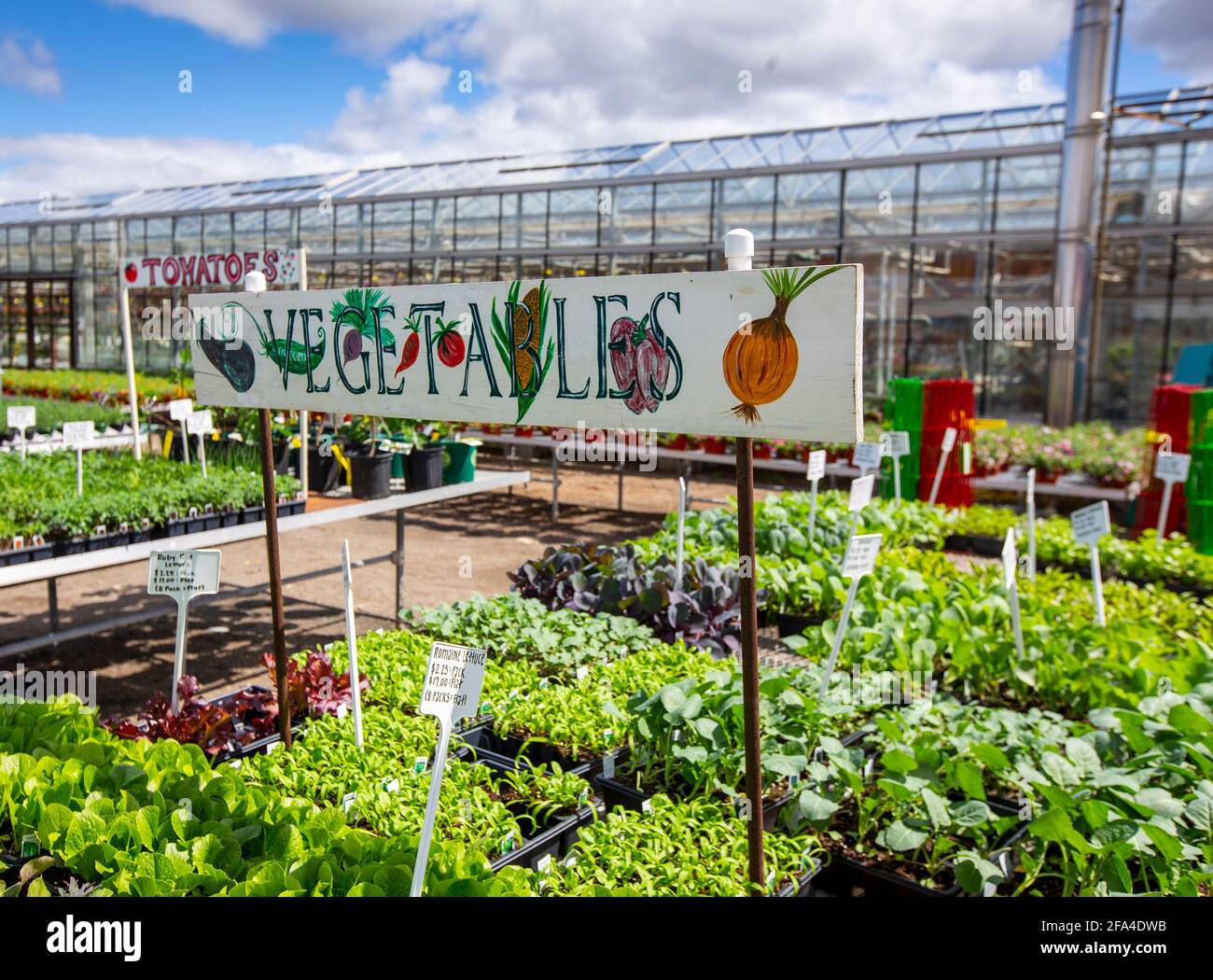 Vegetables sign at a nursery in New Jersey Stock Photo - Alamy
