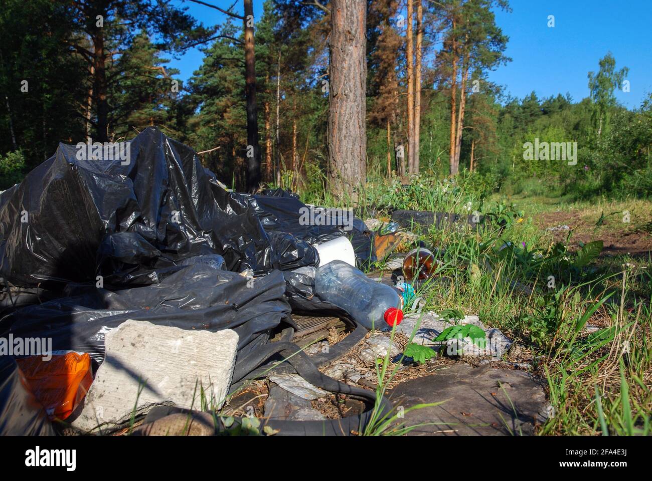 Unauthorized garbage dump in the forest, pile of household waste Stock ...