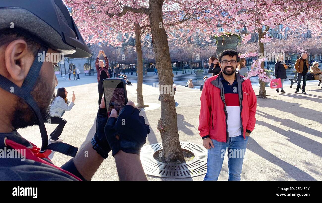A group of people take photos in cherry tree park. High quality photo ...