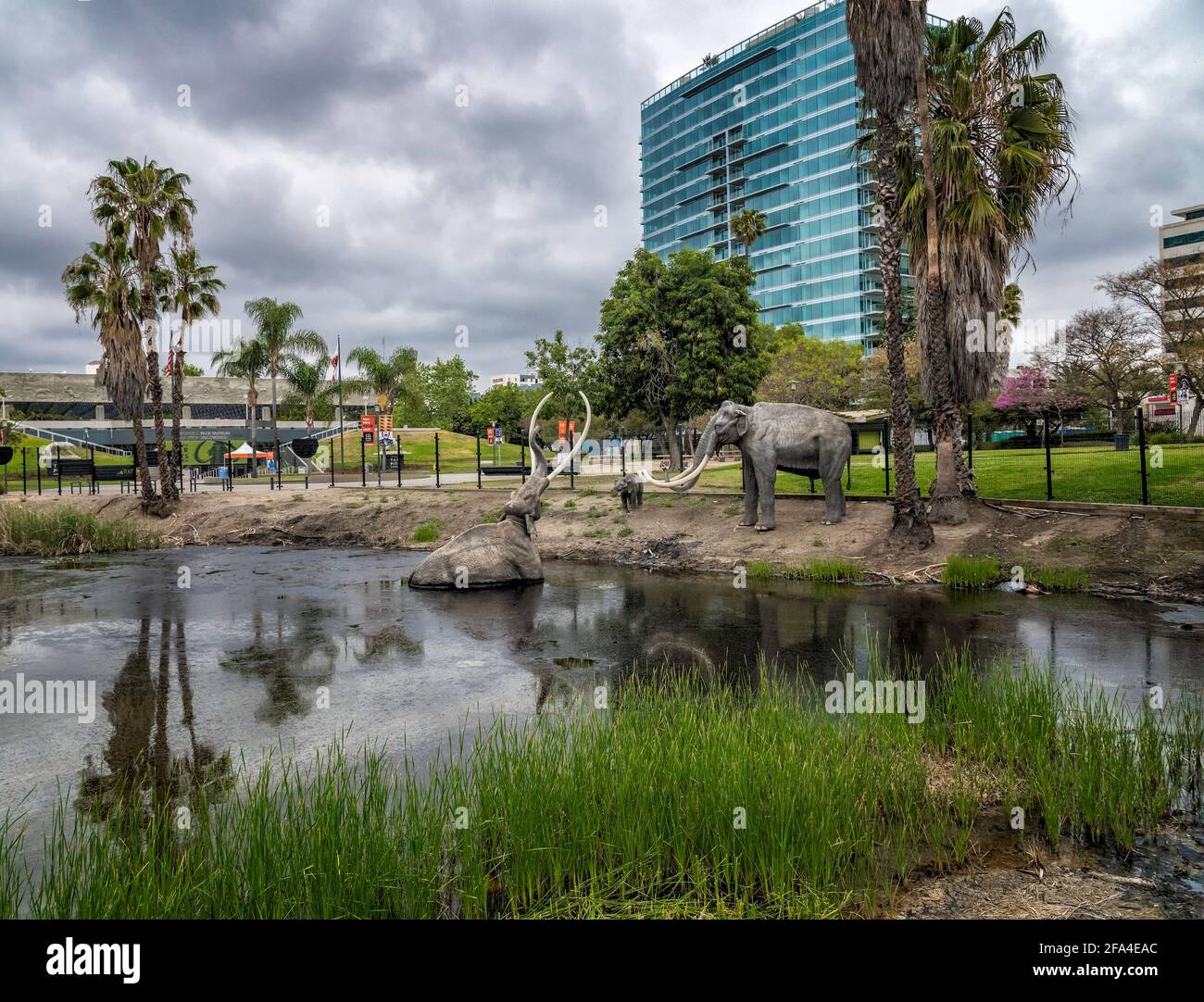 Los Angeles, CA, USA: April 22nd, 2021: The Lake Pit at the La Brea Tar ...