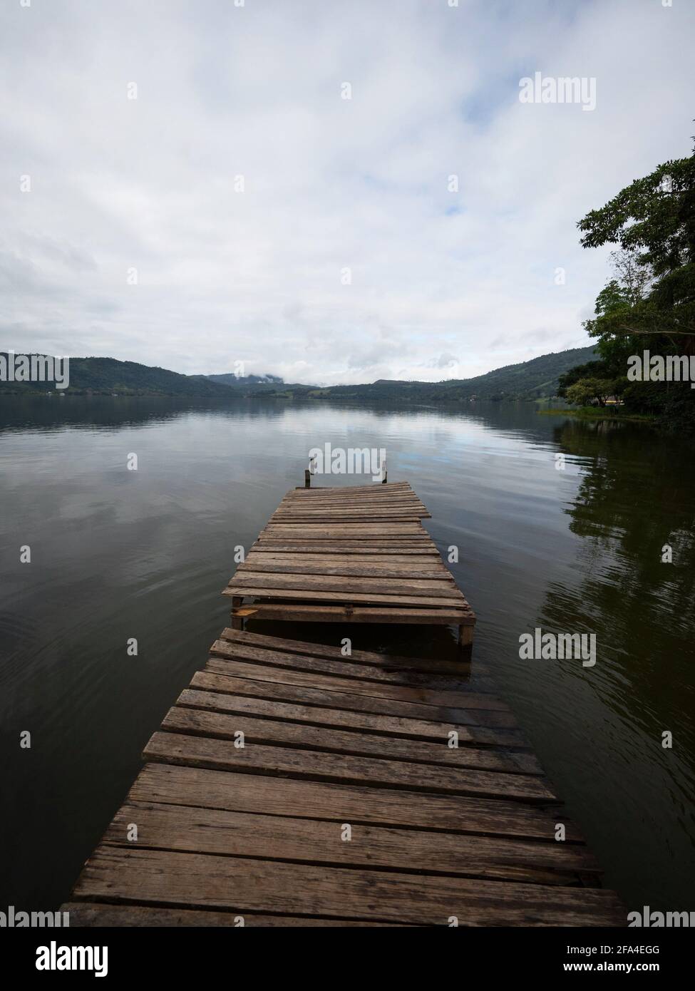 Idyllic Amazon rainforest jungle river lake landscape with broken ...