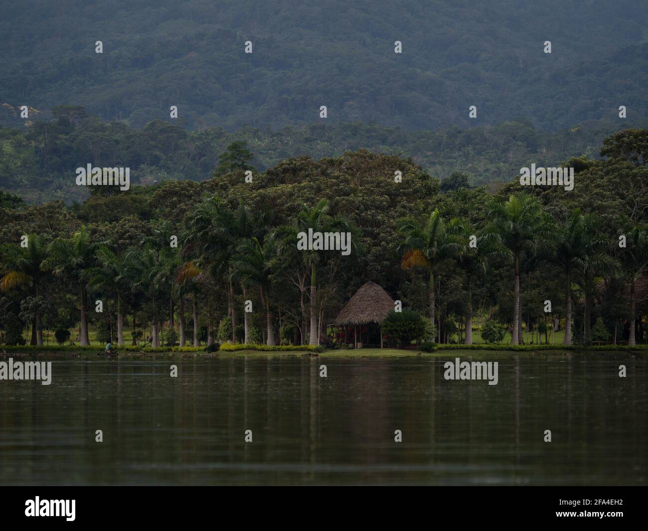 Aerial panorama view of Amazon tropical rainforest exotic lush jungle ...