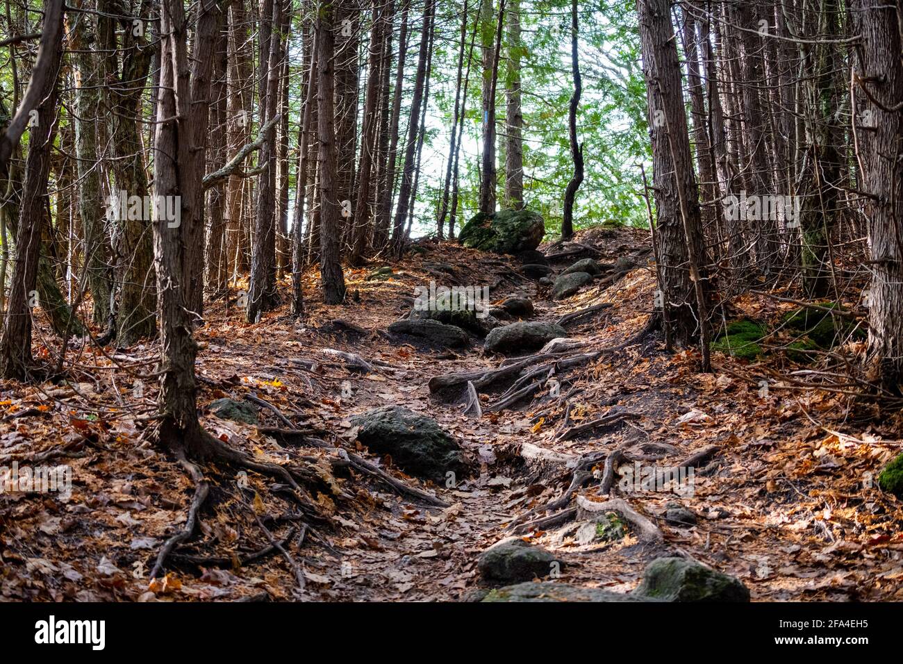 Travelled path hi-res stock photography and images - Alamy
