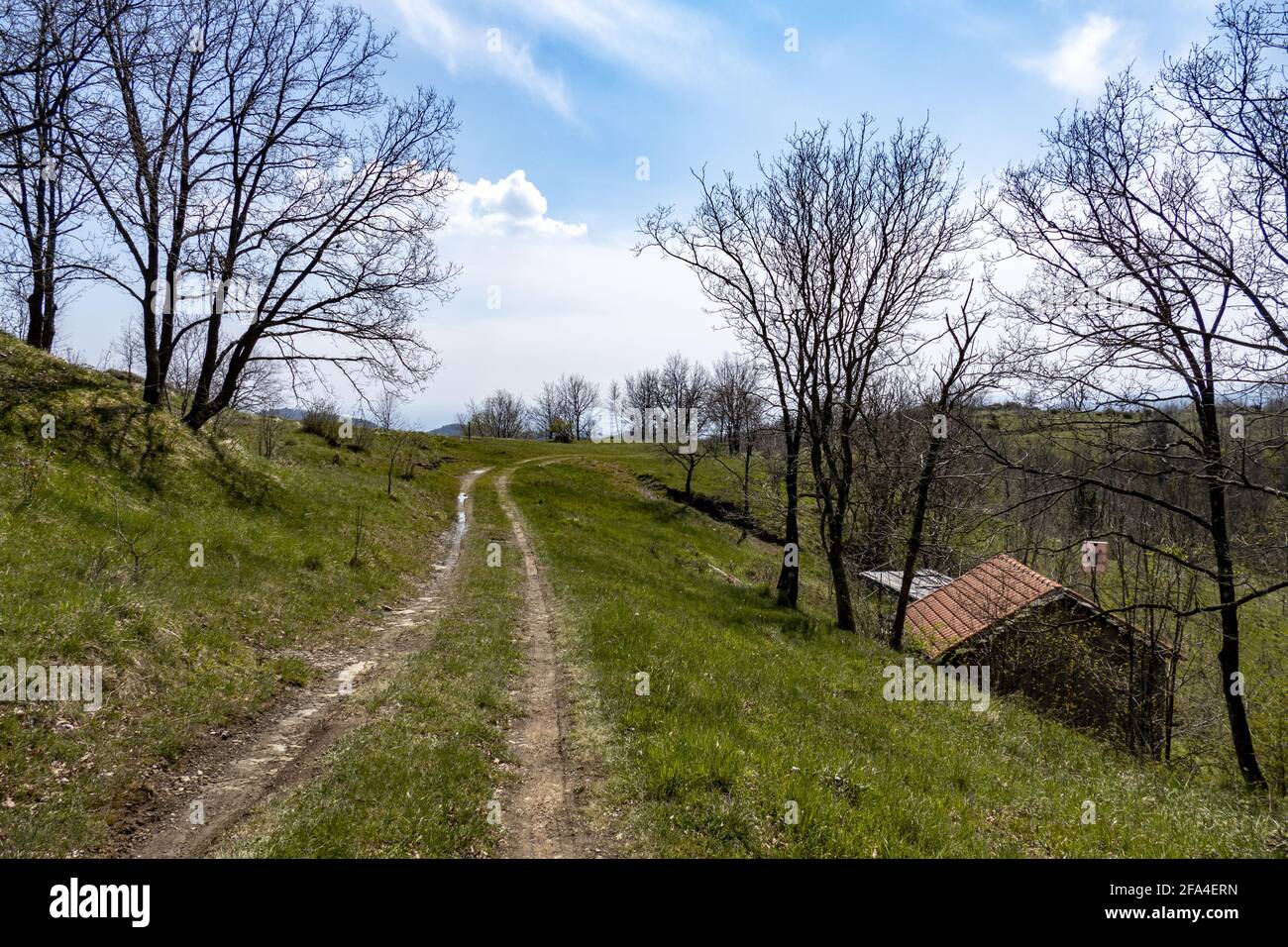 Narrow dirt road on a hill with grass growing in the middle and a small ...