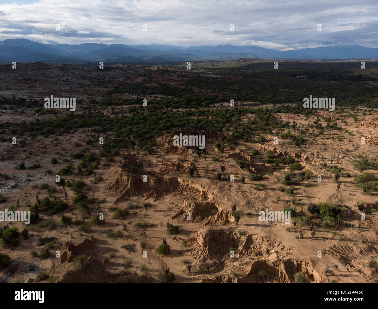 Aerial panorama view of Tatacoa desert tropical dry forest red sand ...