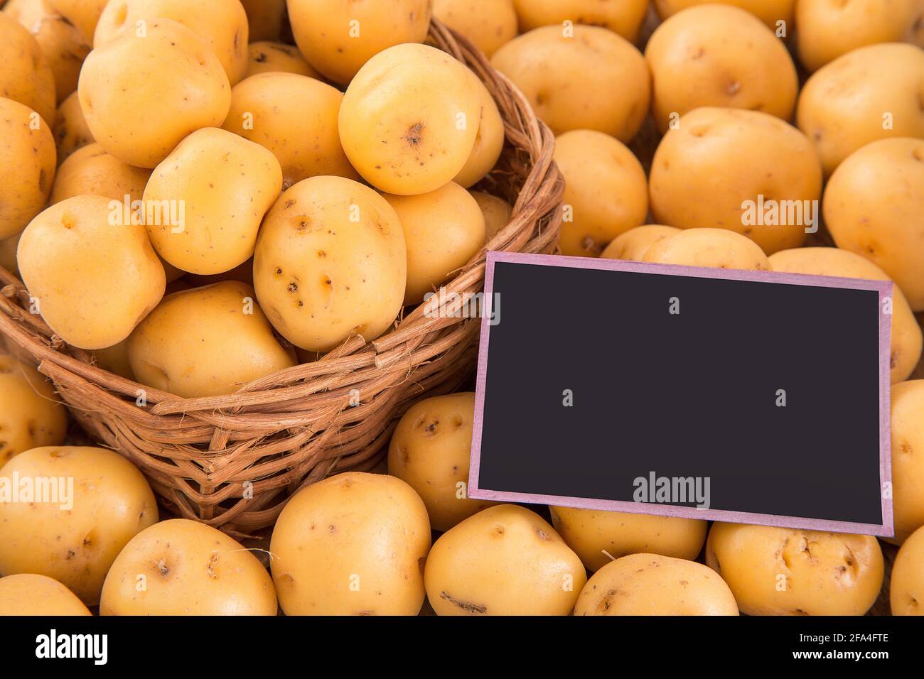 Organic yellow creole potato - Solanum phureja Stock Photo - Alamy