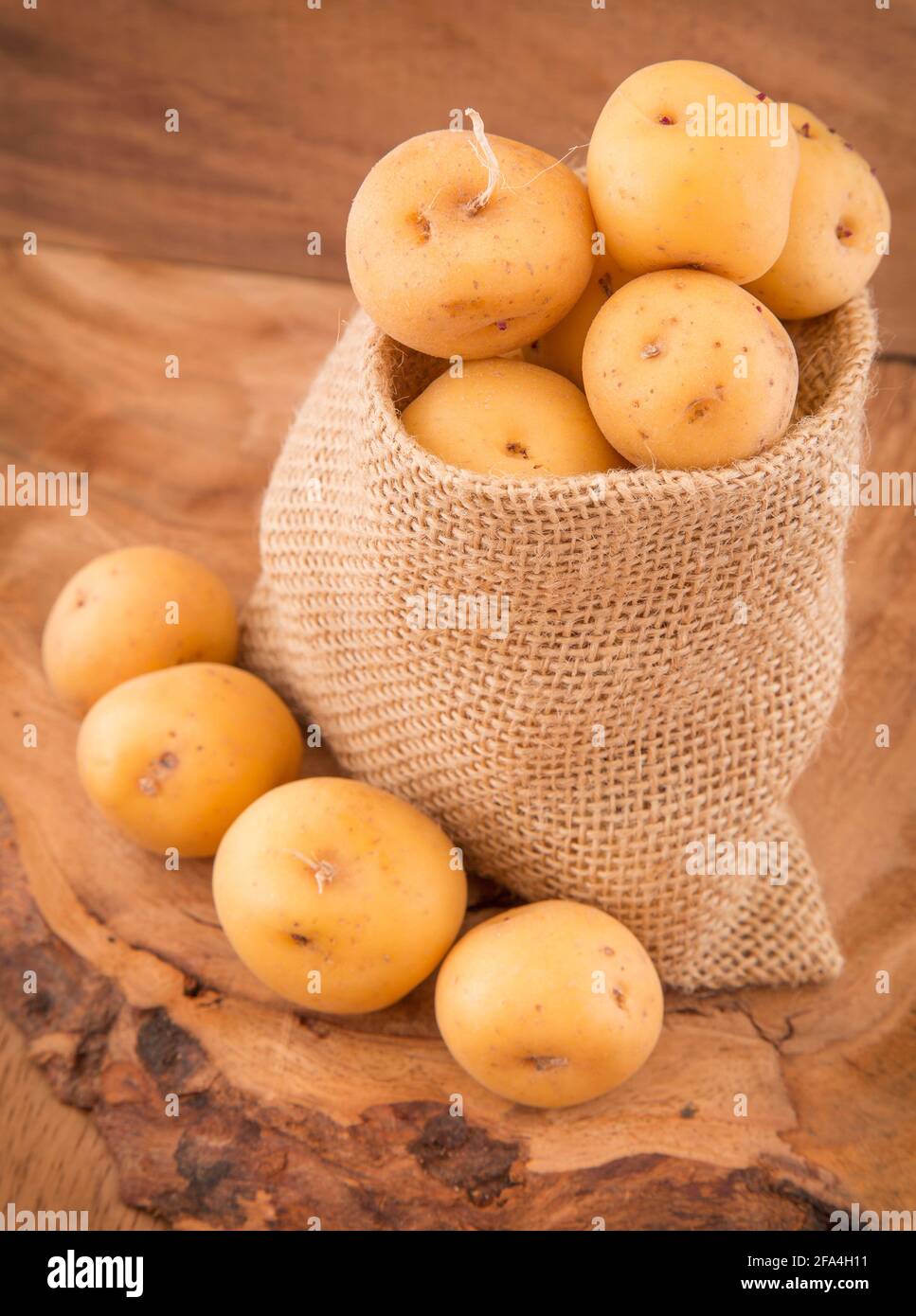 Organic yellow creole potato - Solanum phureja Stock Photo - Alamy