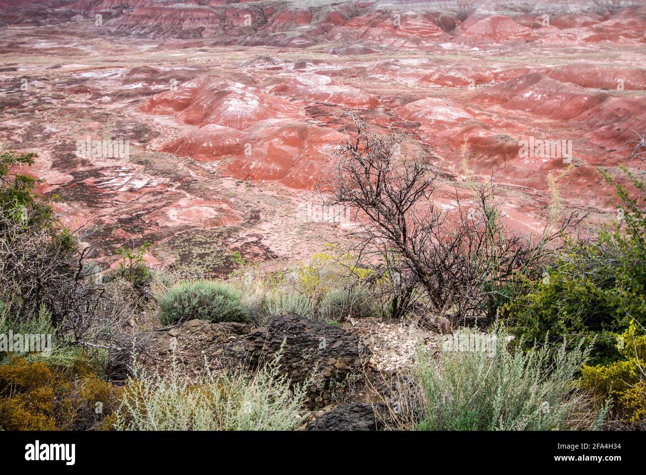 Painted desert landscape hi-res stock photography and images - Alamy