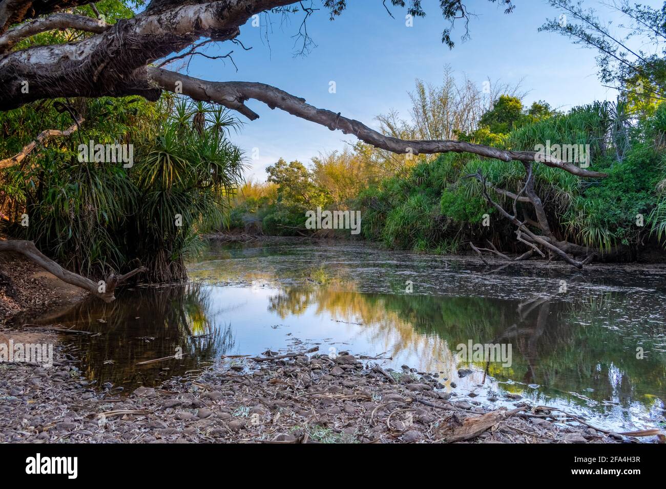 Billabong Waterhole Landscape High Resolution Stock Photography and ...