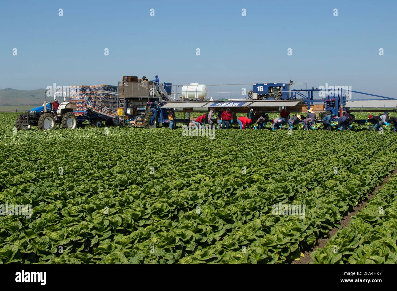 Commercial farm crop hi-res stock photography and images - Alamy