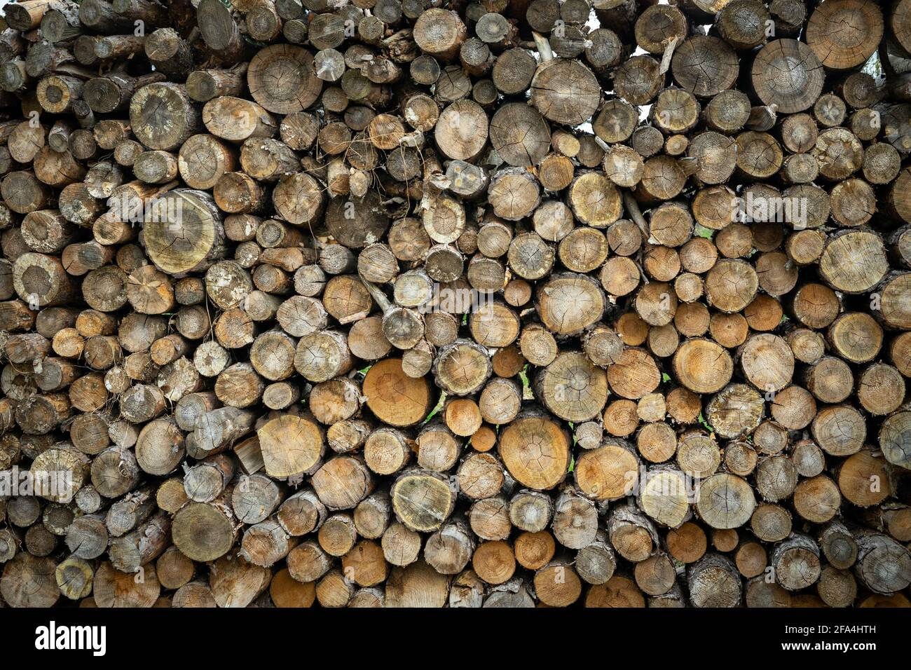 Pile of timber stacked together - split wooden logs texture Stock Photo ...