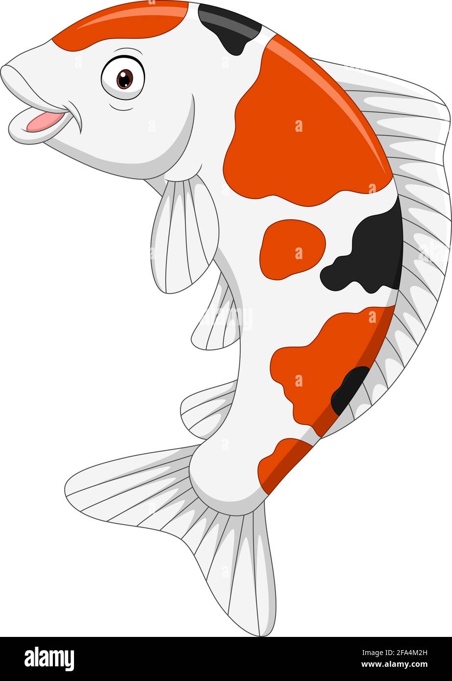 Koi carp fish on Stock Vector Images - Alamy