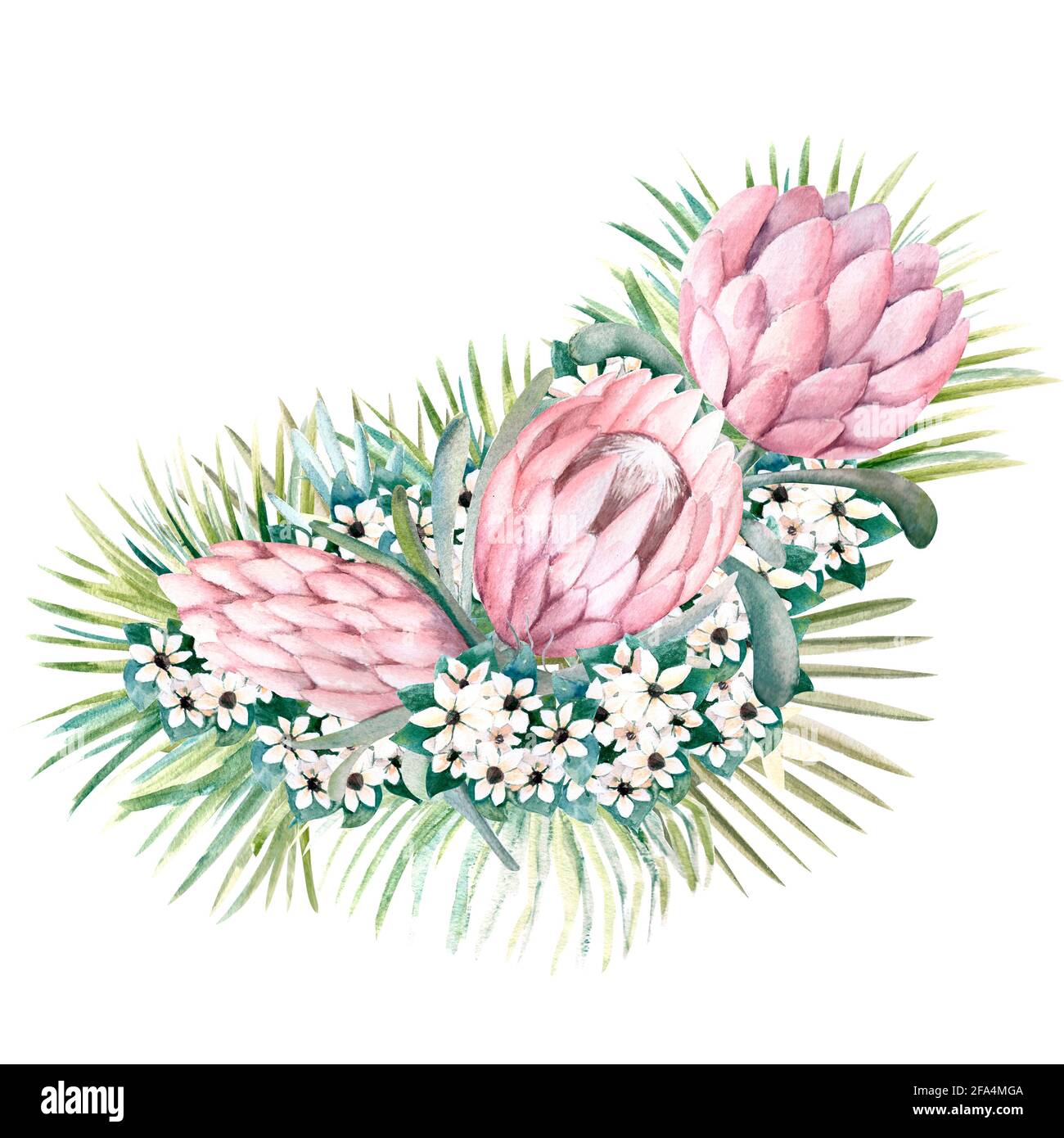 Bouvardia flowers Cut Out Stock Images & Pictures - Alamy