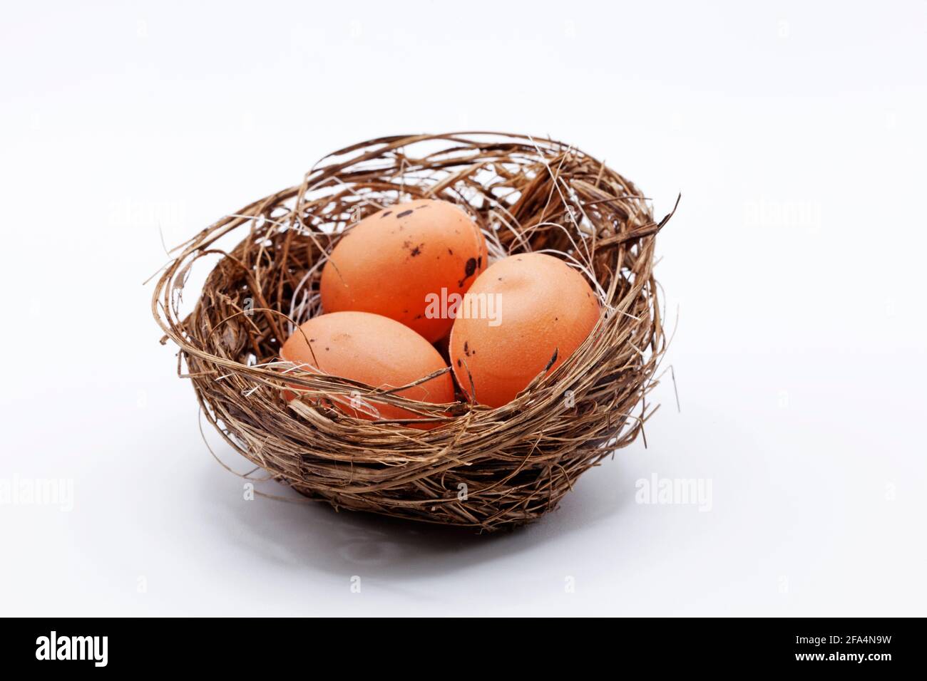 bird's nest with three eggs in studio light Stock Photo - Alamy