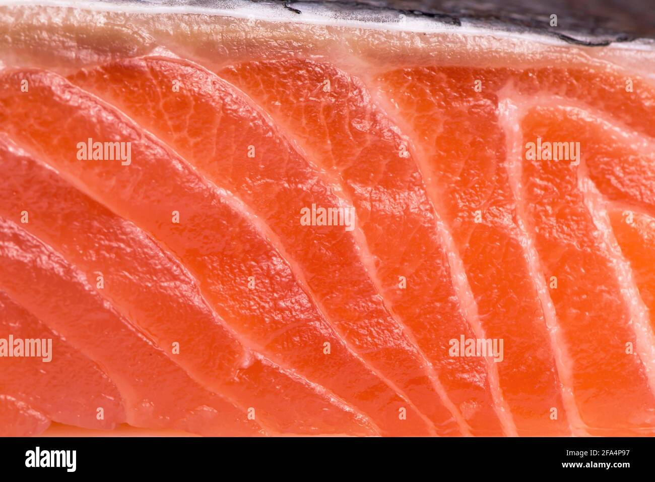 Steak of red fish on white background Stock Photo - Alamy