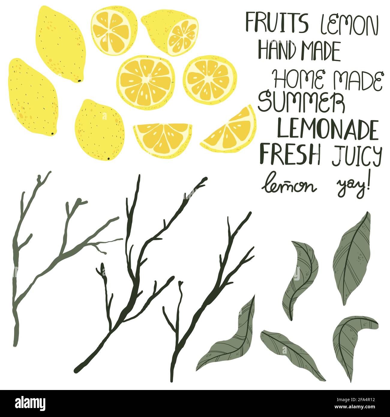 Set citrus tree leaves Stock Vector Images - Alamy