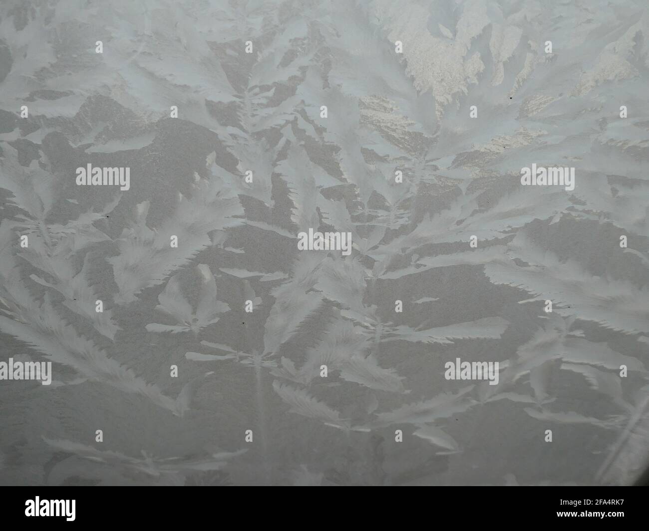 Ice flower hi-res stock photography and images - Alamy