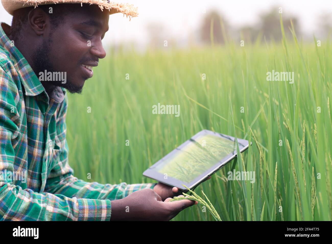 Agriculture africa technology hi-res stock photography and images - Alamy