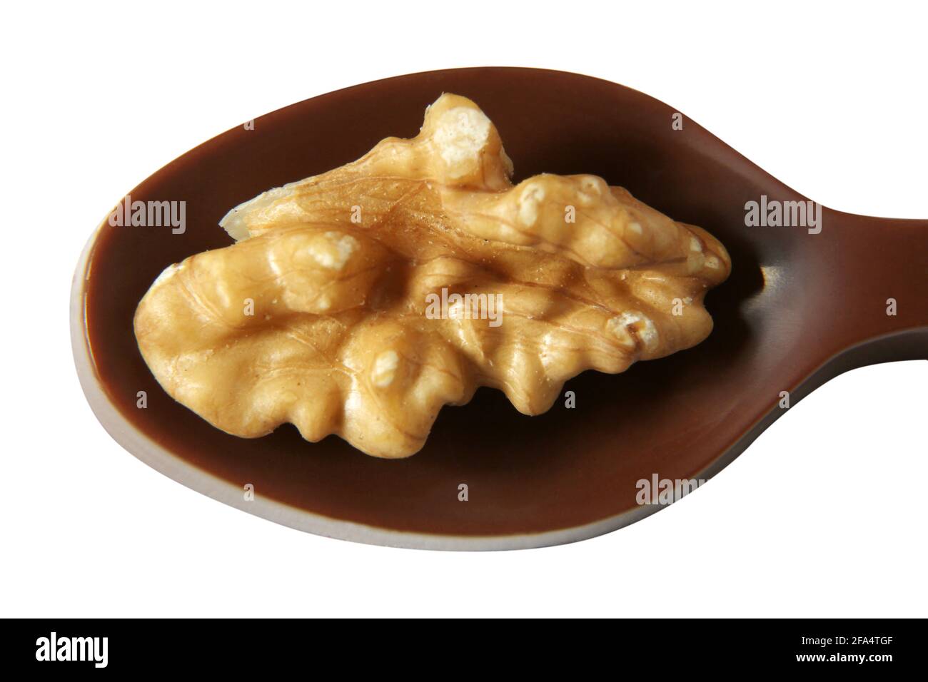 chocolate and walnuts on a white background Stock Photo - Alamy
