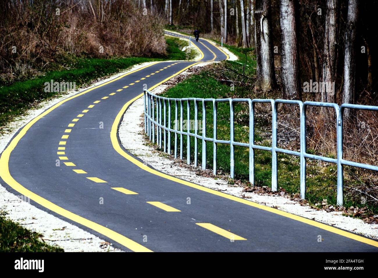 winding bicycle path. asphalt road. diminishing perspective. spring ...