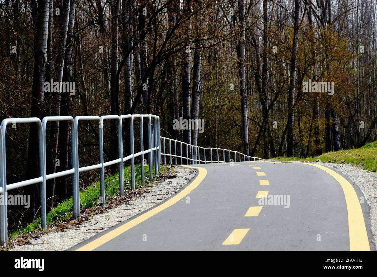 winding bicycle path. asphalt road. diminishing perspective. spring ...
