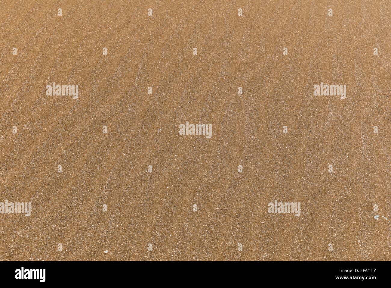 Texture of beach sand on the beach coast close up Stock Photo - Alamy