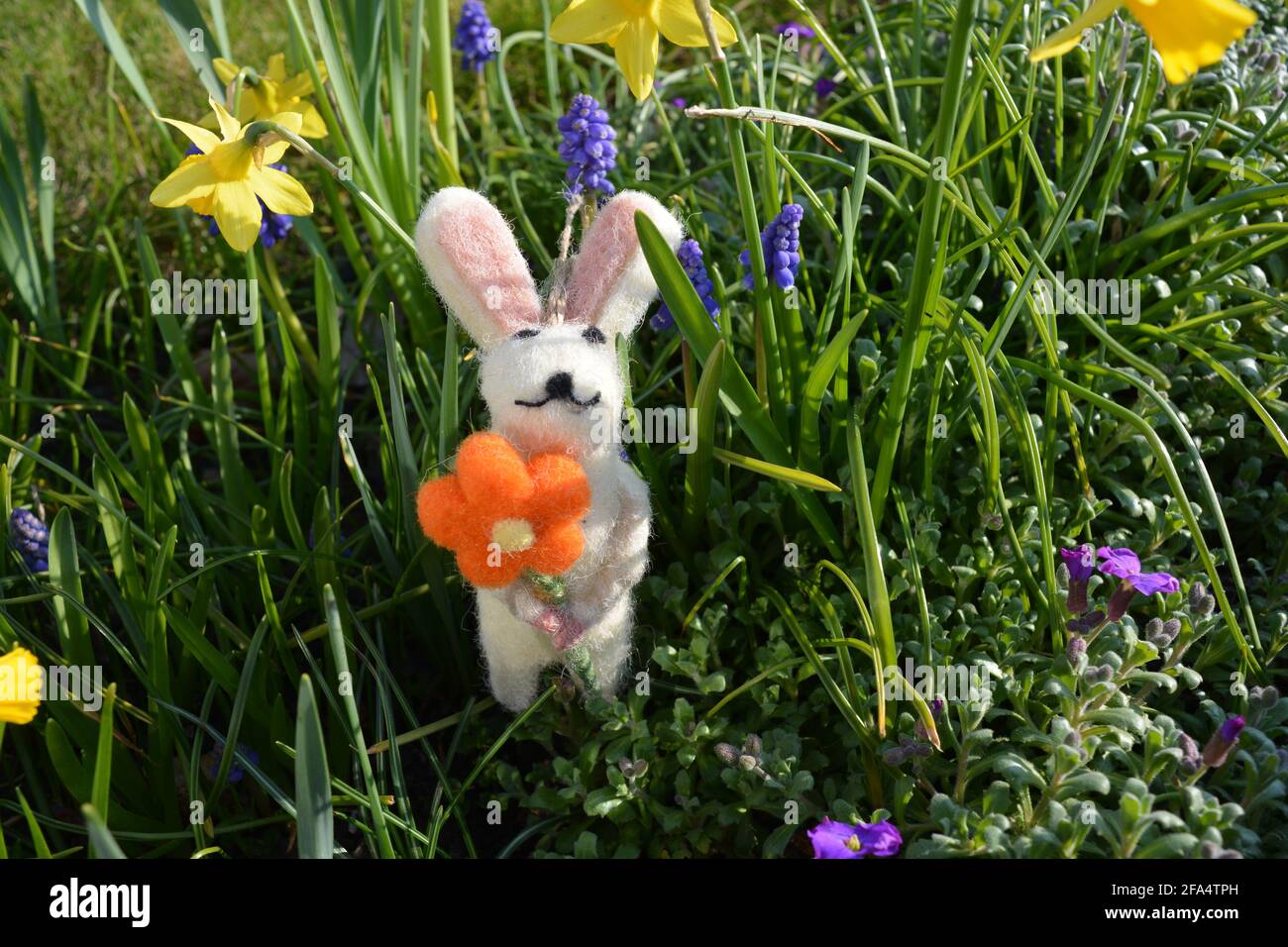 Spring flowers meadow rabbit hi-res stock photography and images - Alamy