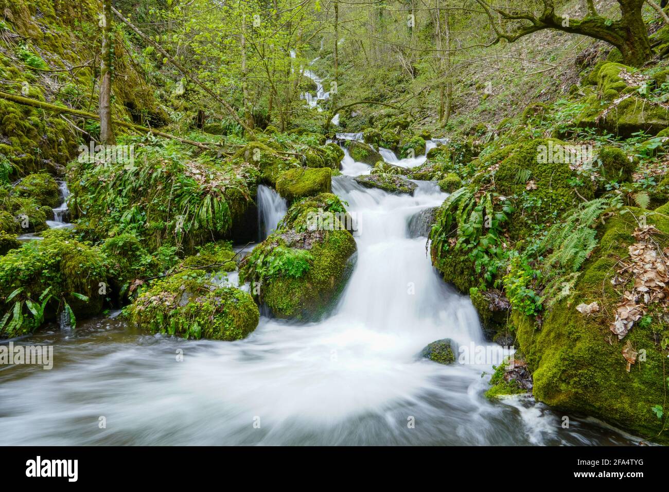 Long exposure image of beautiful stream of water running through ...