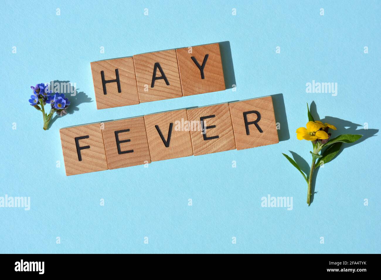 Hay Fever, words in wooden alphabet letters isolated on blue background ...