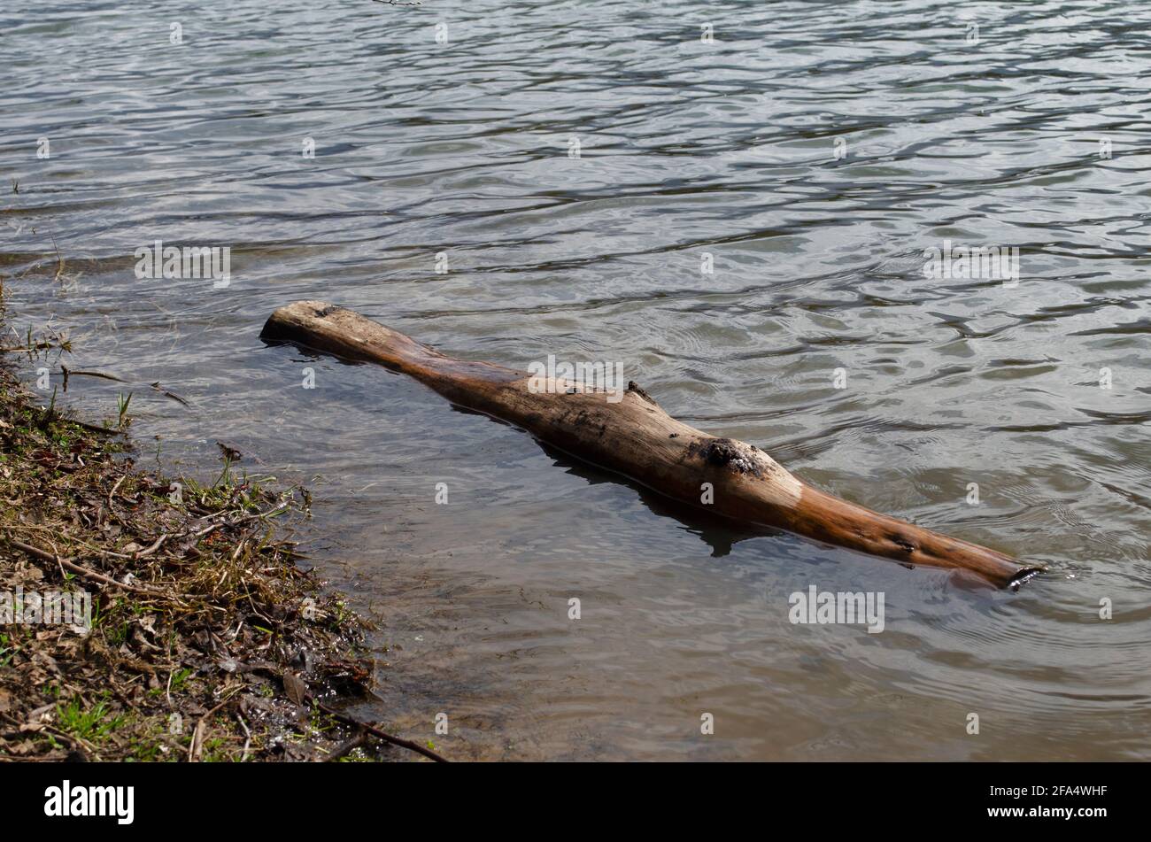 Log in water hi-res stock photography and images - Alamy